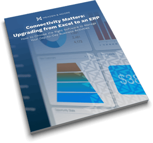 Thank You | Excel Versus ERP Systems Download