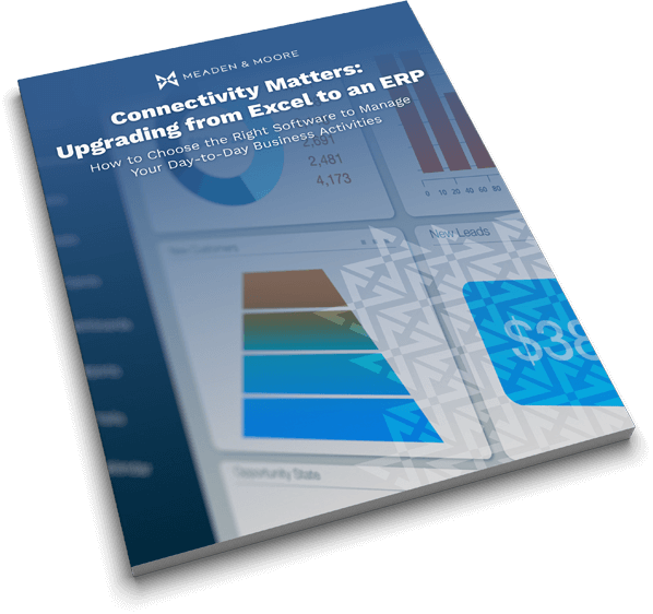 Thank You | Excel Versus ERP Systems Download