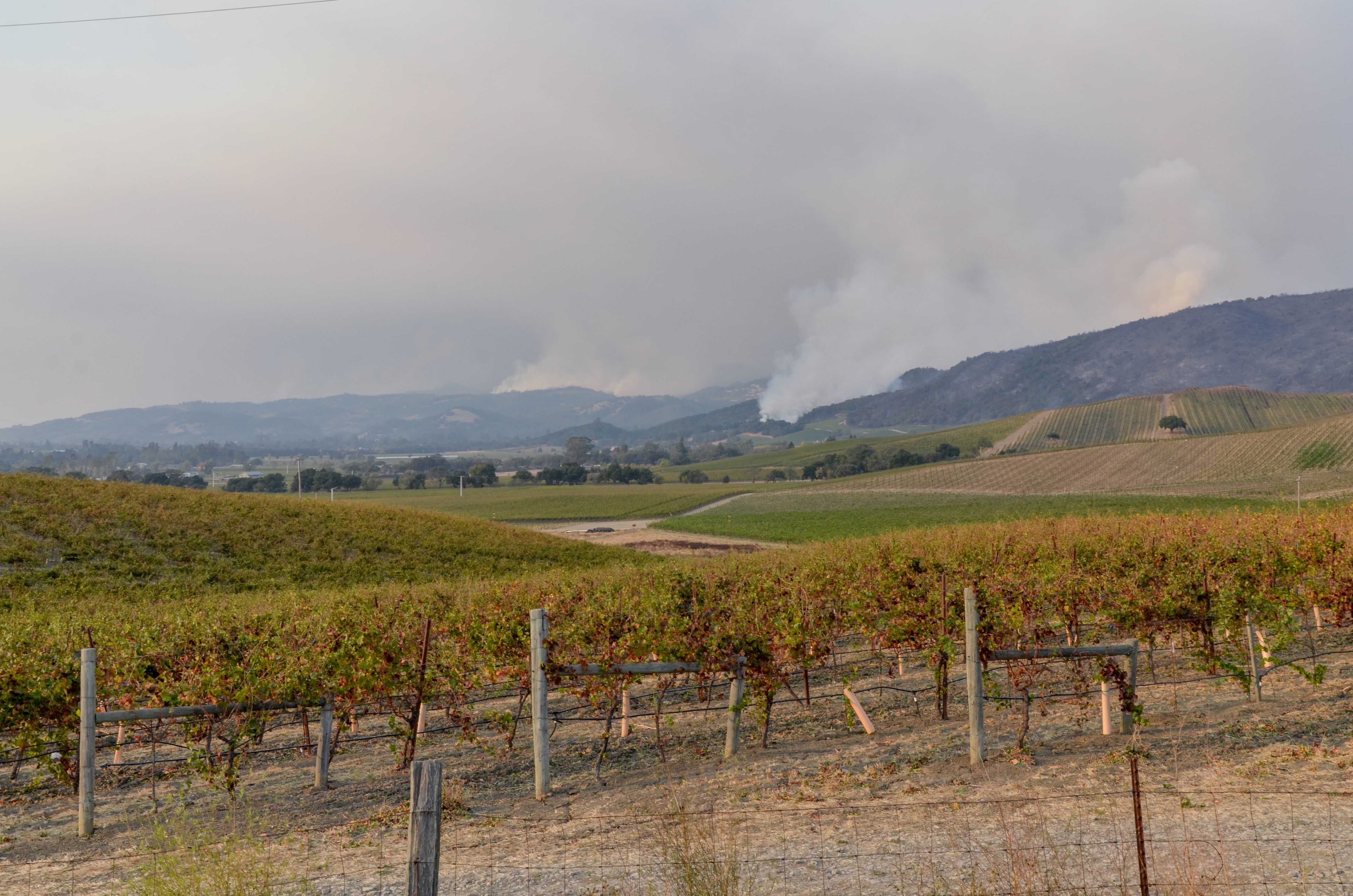 Valuation of Wine Inventory: When Wine Goes up in Smoke